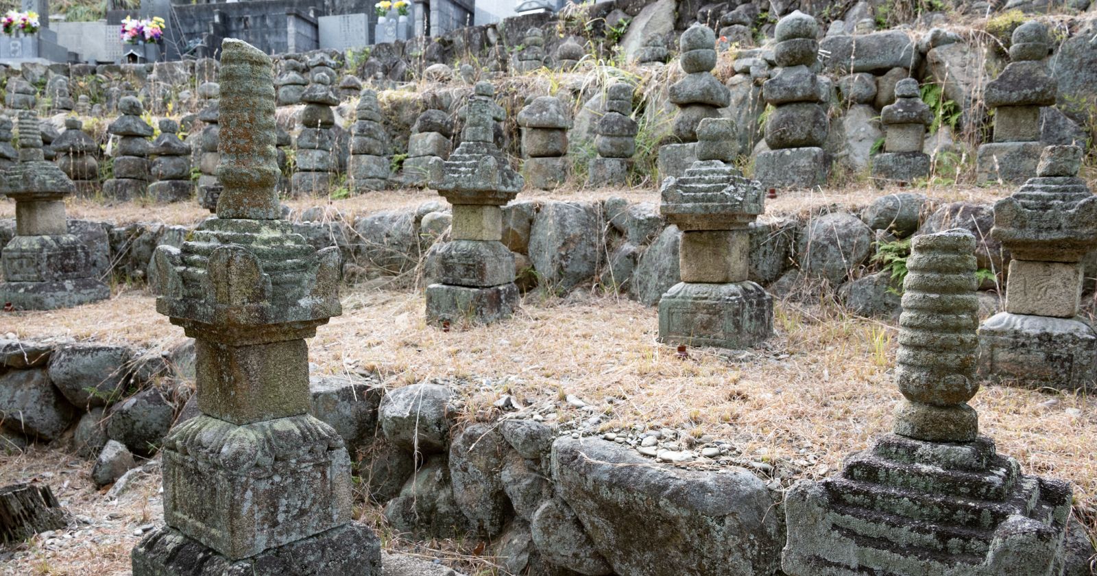 因島といえば水軍城！！全国でも稀有な水軍城で、村上水軍に思いを馳せる | Shimanabi