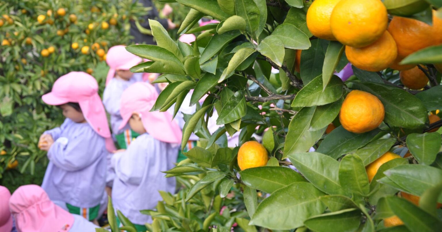 しまなみ海道 向島（尾道）で絶対行きたい観光スポット厳選8選！！近くのおすすめ店もご紹介！ | Shimanabi