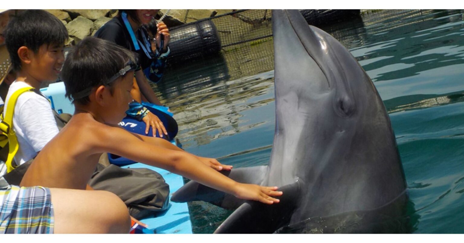 しまなみ海道「伯方島」はここに行こう！おすすめ観光スポット厳選7選！！ | Shimanabi