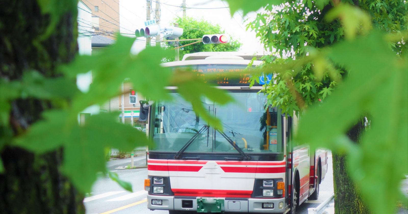 向島へバス行くには？島内のバス事情は？バス情報の全て！ | Shimanabi